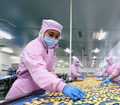 Cina Pannelli murali per ambienti puliti personalizzabili 950/1050 mm Larghezza per soluzioni di progettazione di ambienti puliti personalizzati in vendita