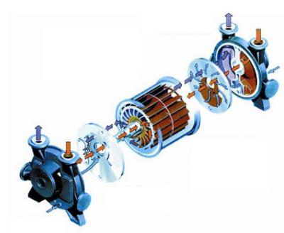 Cina Blocchiera concreta automatica del pulsometro 50HZ in vendita