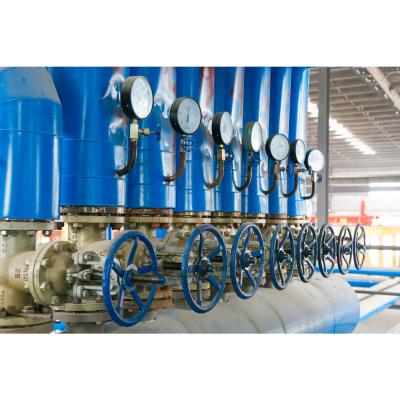 Cina Doppia caldaia dell'alimentatore di griglia a catena del tamburo 1.25Mpa in vendita
