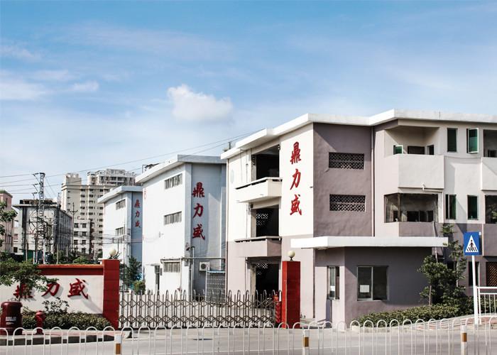 Fornitore cinese verificato - Shenzhen Dinglisheng Technology Co., Ltd.