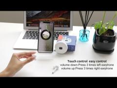 LW13 Wireless bluetooth earphones