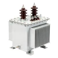 Quality D20 Series Single Phase Transformers Oil Immersed Energy Efficient for sale