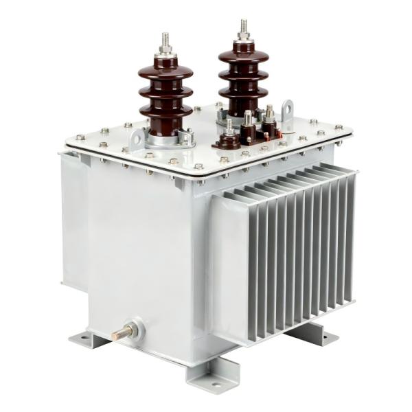 Quality D20 Series Single Phase Transformers Oil Immersed Energy Efficient for sale
