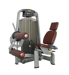 China Seated Leg Curl for sale