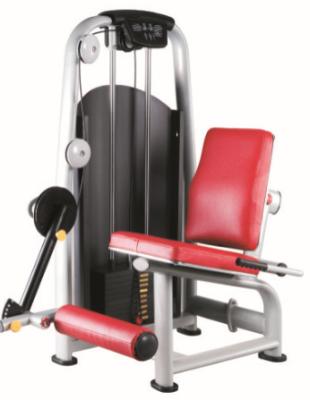 China Leg Extension machine for sale