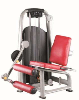 China Seated Leg Curl for sale