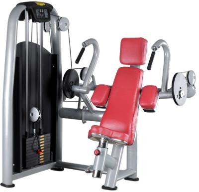 China Seated Triceps Mahcine for sale
