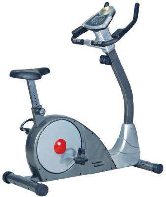 China commercial upright bike for sale