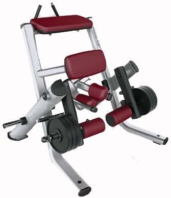 China Kneeling Leg Curl for sale