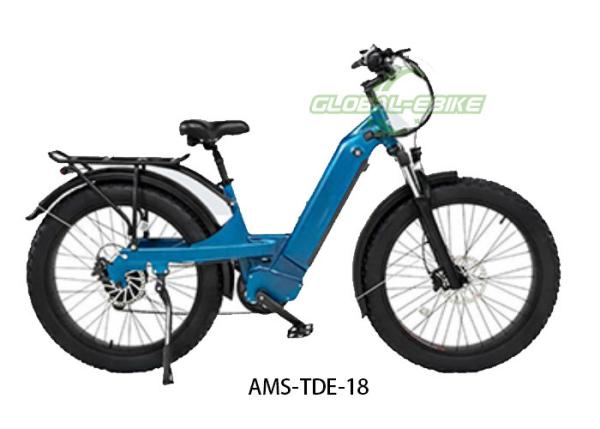 Quality Aluminum Alloy Frame Blue Fat Tire EBike with LED Light Hydraulic Disc Brake for sale
