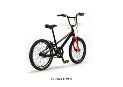 Cina BMX in lega di alluminio da 20 pollici con freno RADIUS e freewheel ATA 16T in vendita