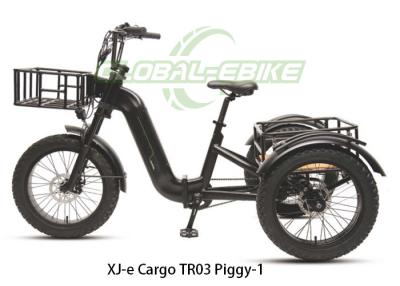 China 48.8kg legeringsframe Cargo eBike met borstelloze 48V 500W achtermotor Te koop