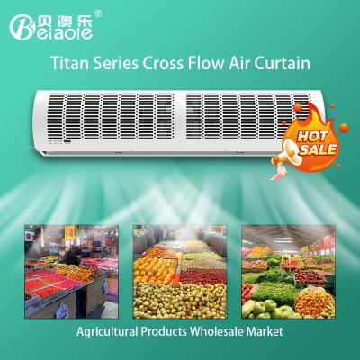 China Indoor Electric Commercial Air Curtain Ceiling Mounted 220V 50HZ 9--11 m/s For Indoor Projects for sale