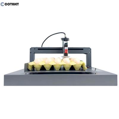 China 300DPI - 600DPI Egg Coding Machine / Egg Inkjet Printer With Printing On Eggs And Egg Cartons for sale