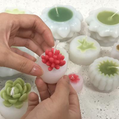 China Molde de velas suculentas Durable MHC Unique velas 3d pequeñas Mini Kit de fabricación de suculentas herramientas de torta Tipo de moldes en venta