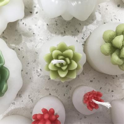 China Succulent Candle Molds Durable MHC Unique 3d Candles Small Succulent Mini Making Kit Cake Tools Type Moulds for sale