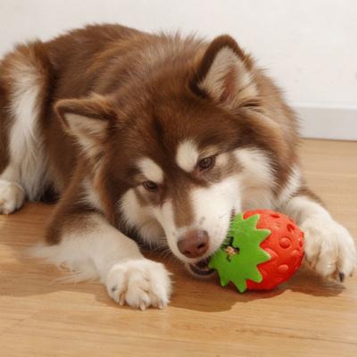 China Practical Silicone Dog Chew Toy Strawberry Shape Interactive Food Pet Spill Toy Dog Training Toy for Medium Chewing Dogs for sale