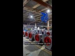 Potente ventilatore radicale centrifugo per l'estrazione ottimale della polvere e la circolazione dell'aria negli impianti di produzione Volume d'aria 800 90000m3 / h