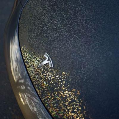 China Nuvem auspiciosa Preto TPU Car Wrap Vinyl Adesivo Adesivo Decorativo Film de Mudança de Cor à venda