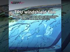 Ruloir de teinture de verre de voiture 6.0mil Film de fenêtre épais pour voitures TPU Protecteur UV du pare-brise