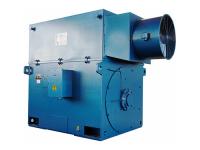 Quality Variable Frequency Speed Regulation High Voltage Electric Motor 0-70HZ for sale