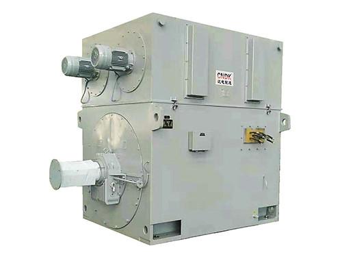 Quality Frequency Conversion Asynchronous Three Phase Motor 6-10KVA IP54/IP55 for sale