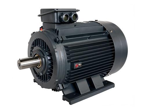 Quality High Efficiency Asynchronous 3 Phase Motor 380V/50Hz 60Hz  Energy Saving for sale