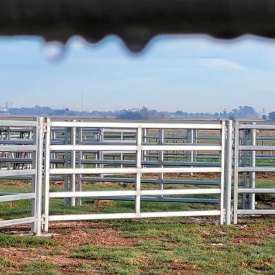 China Comprimento 2,1 m Painéis de gado de ovinos pesados Tubos redondos Tubos quadrados Tubos ovais for sale