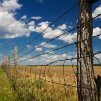 China Shiny Appearance Extremely Sharp Barbed Wire Fence For Farm Forest for sale