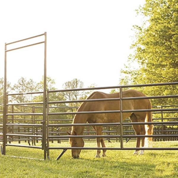Quality Eco Friendly Galvanized Horse Panels For Livestock 6 Foot Tall Horse Panels for sale