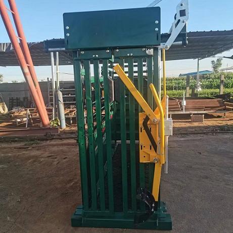 Quality 1.6mm Thickness PVC Coated Cattle Farm Equipment For Cattle for sale