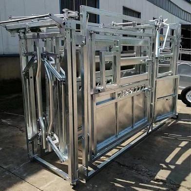 Cina Trattamento termico di bovini 2005mmH*3005mmL*850mmW Clampo di ritenuta del collo Mercati del bestiame in vendita
