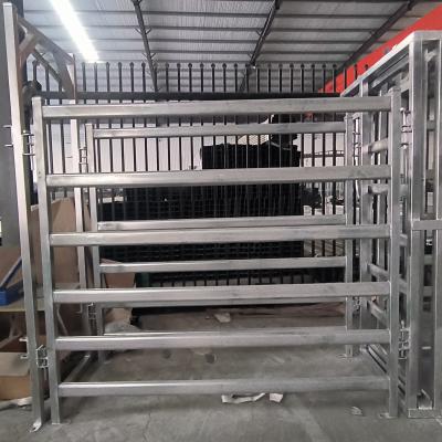Cina 50*50*1,6 mm Testa di schiacciatura per bovini tubo di acciaio galvanizzato a caldo in vendita