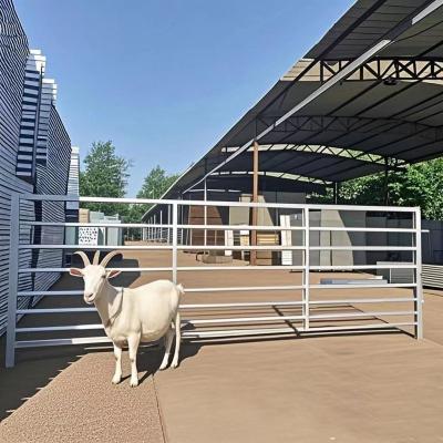 中国 1.2m 溶接されたヤギフェンスパネル 羊飼いの羊の壁 販売のため