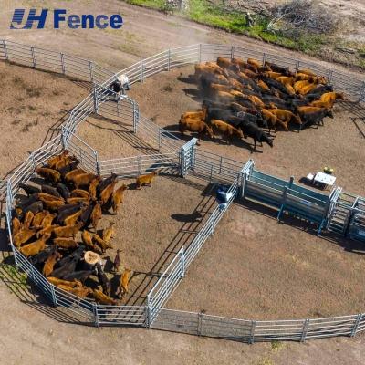 China Reliable Ranch Cattle Panel: Trusted Construction for Daily Containing, Sorting, and Managing Valuable Herds for sale