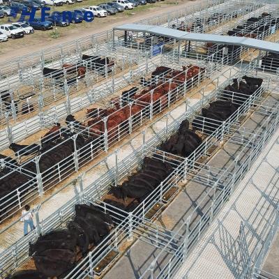 China Secure-Hold Cattle Panel: Rigid One-Piece Construction Prevents Bending for Uncompromised Livestock Security for sale