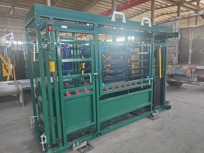 China Heavy Duty Hot Galvanizzed Cattle Crush With Weighing System for sale