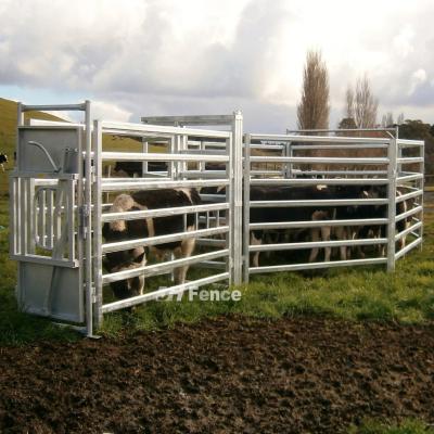 China Galvanized 6ft 7ft Heavy Duty Used Metal Cattle Fence Panel For Livestock  Cattle Yard for sale