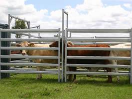China Galvanized Steel Heavy Duty Cattle Fence Long Lasting Durable Wire Mesh Livestock Fence for Effective Animal Control for sale
