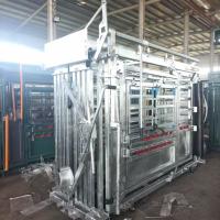 China Galvanized Cattle Crush With Weighing Scale for sale