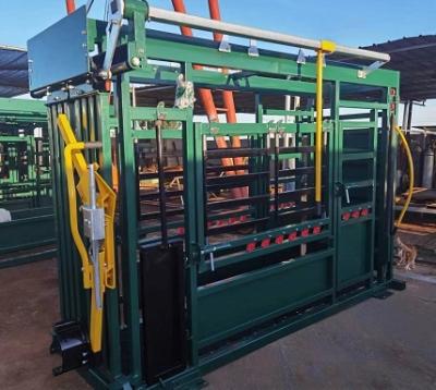 China Stainless Steel Cattle Processing Crusher Offering Corrosion Resistance and Longevity in Livestock Meat Processing for sale