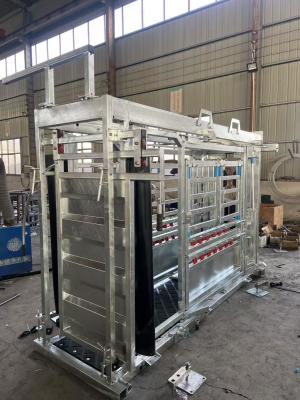 China Galvanized Cattle Chute Crush With Extrusion And Weighting for sale