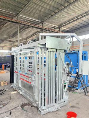 China Sturdy And Durable Cattle Chute Crush With Extrusion And Weighting For Farm for sale
