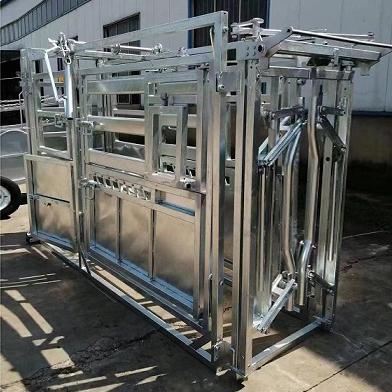China Adjustable Heavy Duty Cattle Crushes Suitable for Different Cattle Breeds and Sizes Enhancing Handling Efficiency for sale