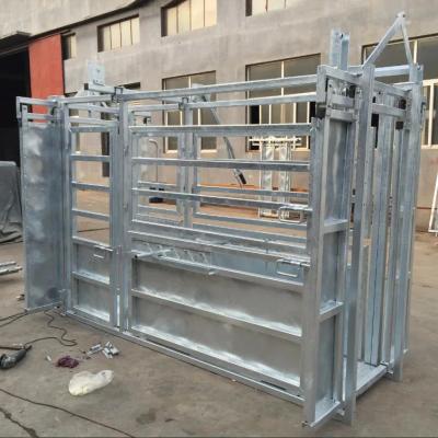 China Cattle Crushes strong and livestock handling equipment created to support safe cattle processing and farm productivity for sale
