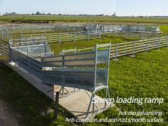 Agricultura e criação de ovelhas