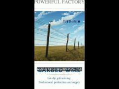 galvanized high tensile barbed wire farm fence 500m 20kg per roll barb wire fence