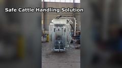 Hydralic Galvanized Cattle Crush  With Scale Weighing
