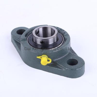 Cina Portamento per flange per cuscino UCFL201 UCFL202 UCFL203 Portamento con alloggiamento in vendita