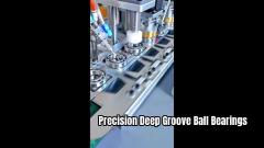 Deep Groove Ball Bearing